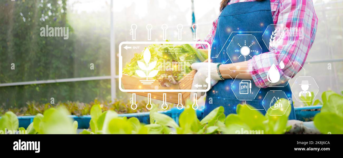 Concept of processing the cultivation of agricultural field with ...