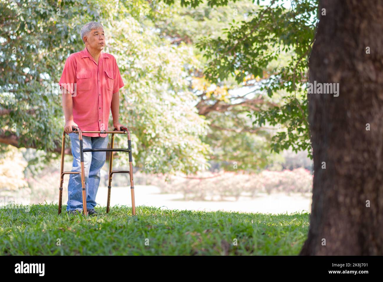Happy old elderly Asian man uses a walker and walks in the Park ...