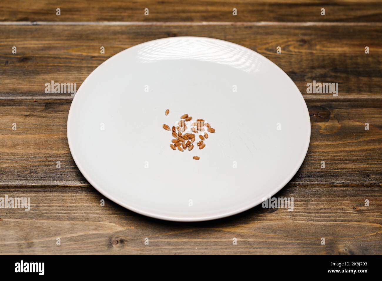 Wheat grain seed sample hi-res stock photography and images - Alamy