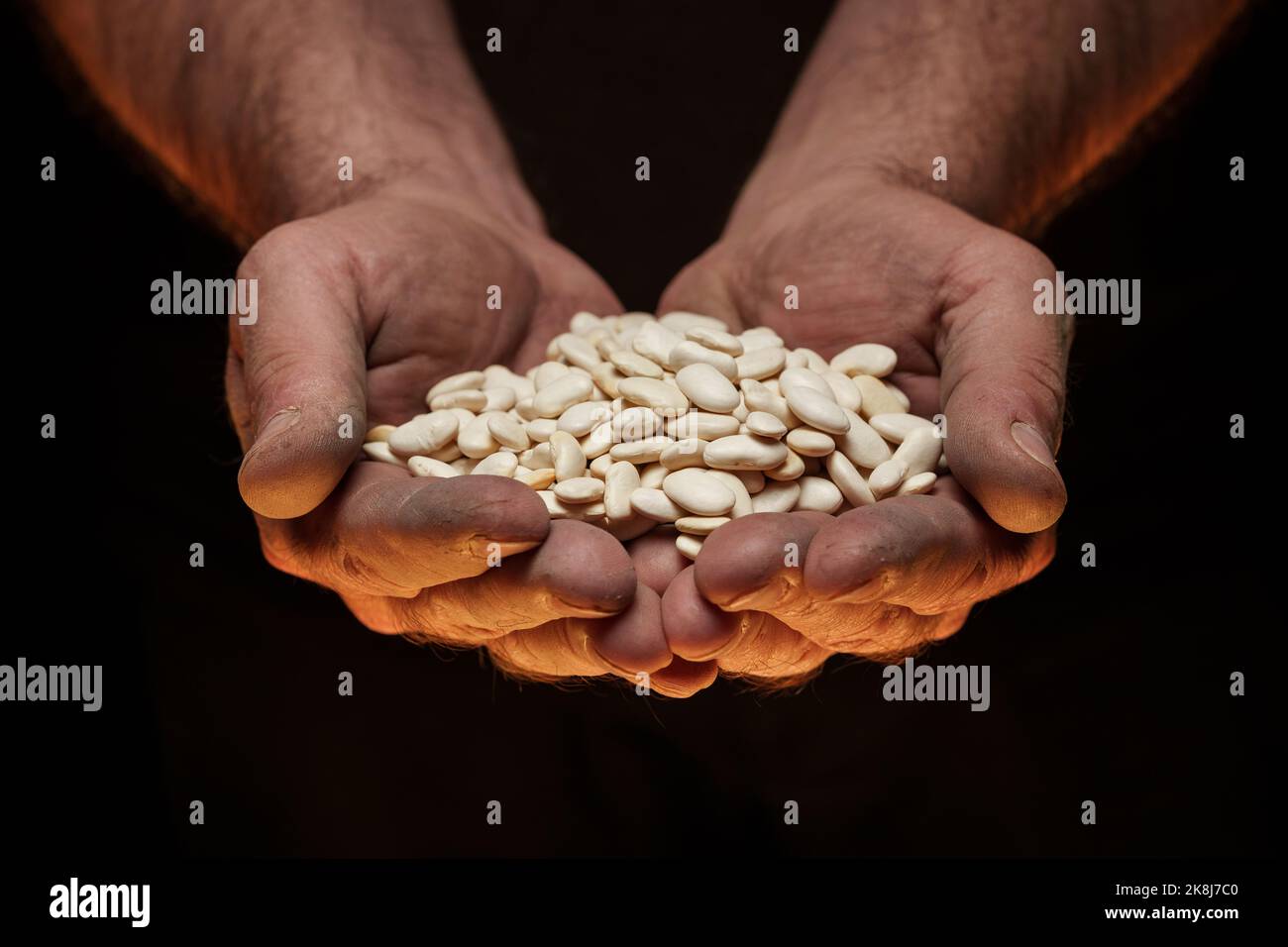 Male hands holding grains of dry kidney beans on dark background Stock ...