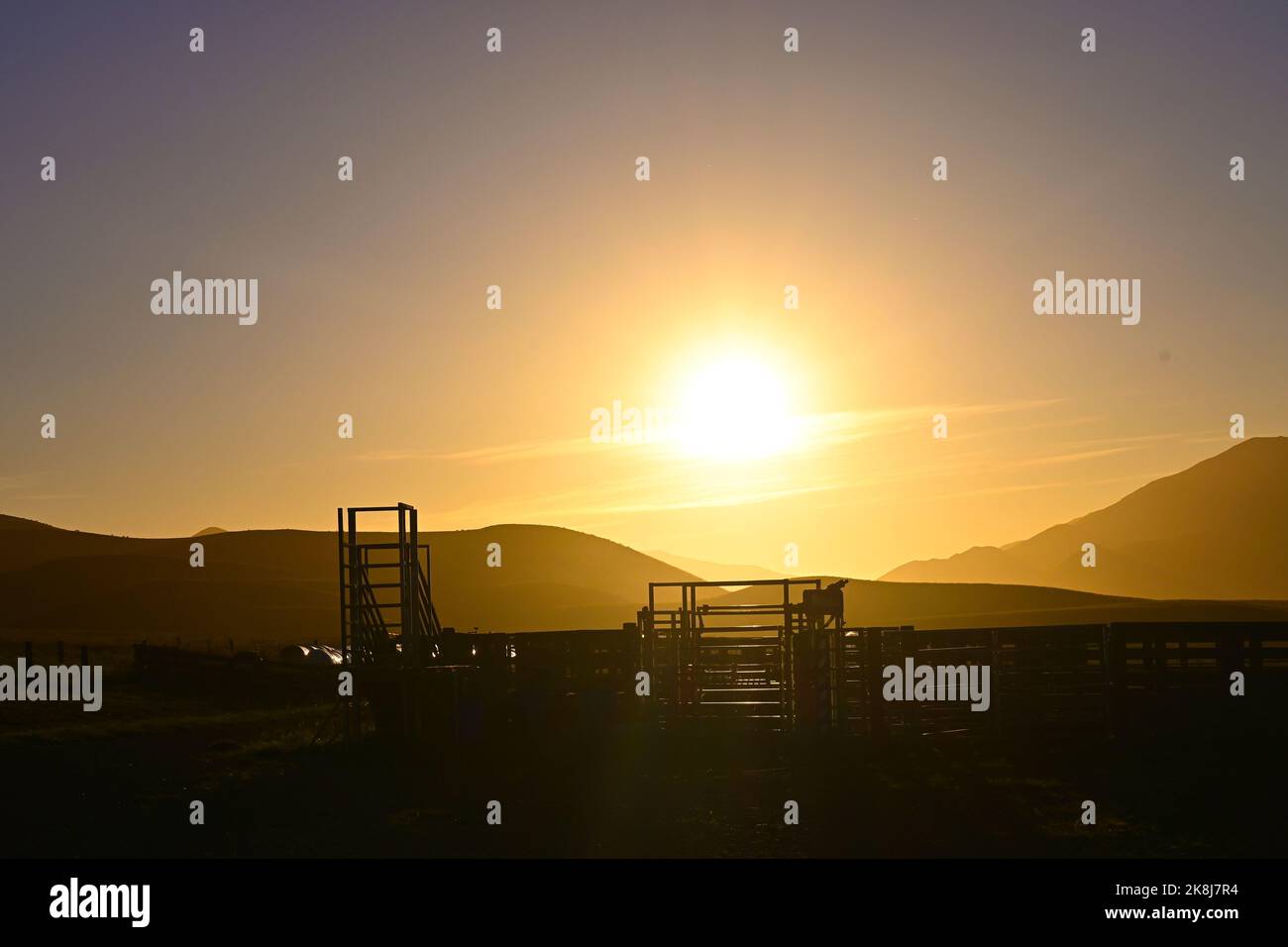 Sunset over cattle yards Stock Photo - Alamy