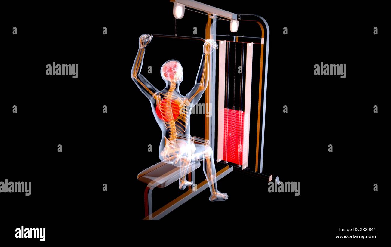 Abstract 3D art of a man on the Lat pulldown machine Stock Photo - Alamy