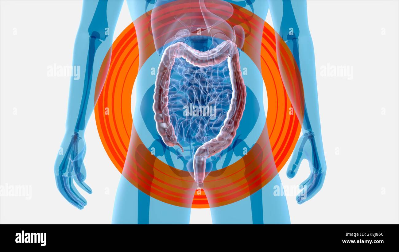 Abstract art of the gut system Stock Photo - Alamy