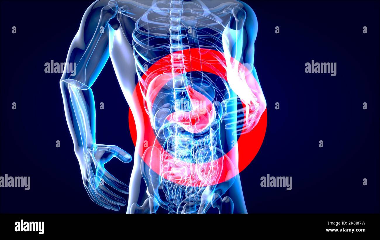 Abstract motion design of the stomach Stock Photo - Alamy