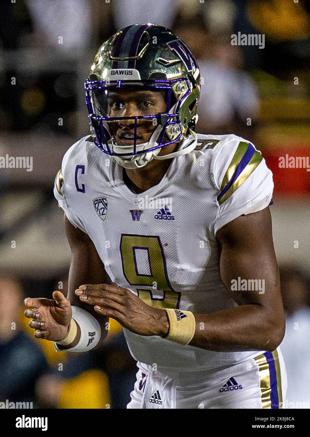 2022 0606 jpg hi-res stock photography and images - Alamy