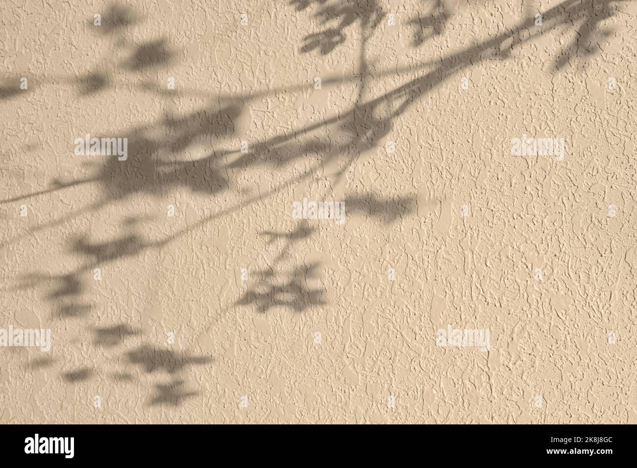 Shadow of leaves on beige concrete wall texture background Stock Photo - Alamy