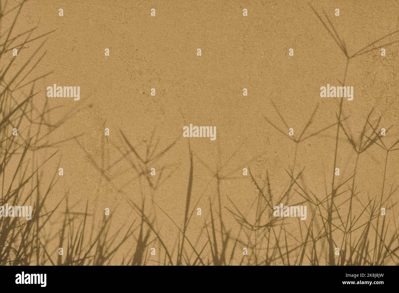 Shadow of grass on beige concrete wall texture background Stock Photo - Alamy
