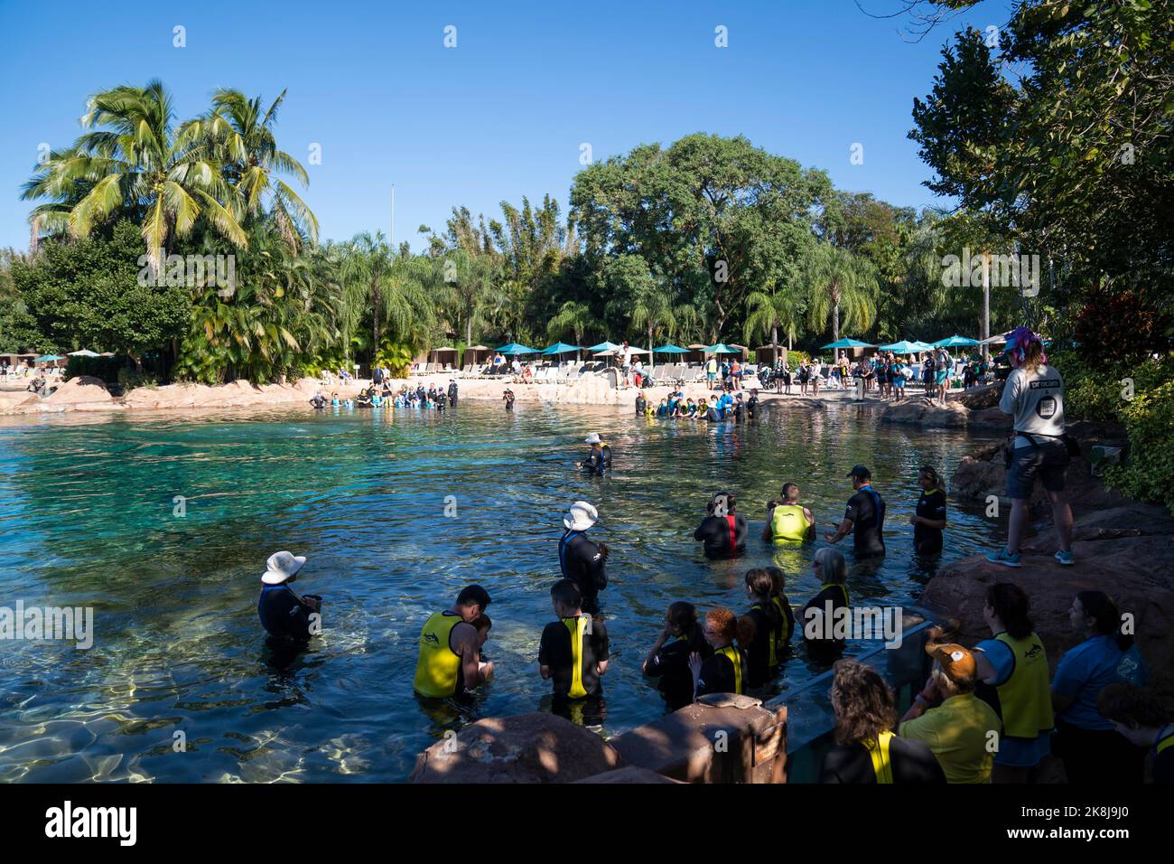 Children swim with dolphins during the Dreamflight visit to Discovery ...