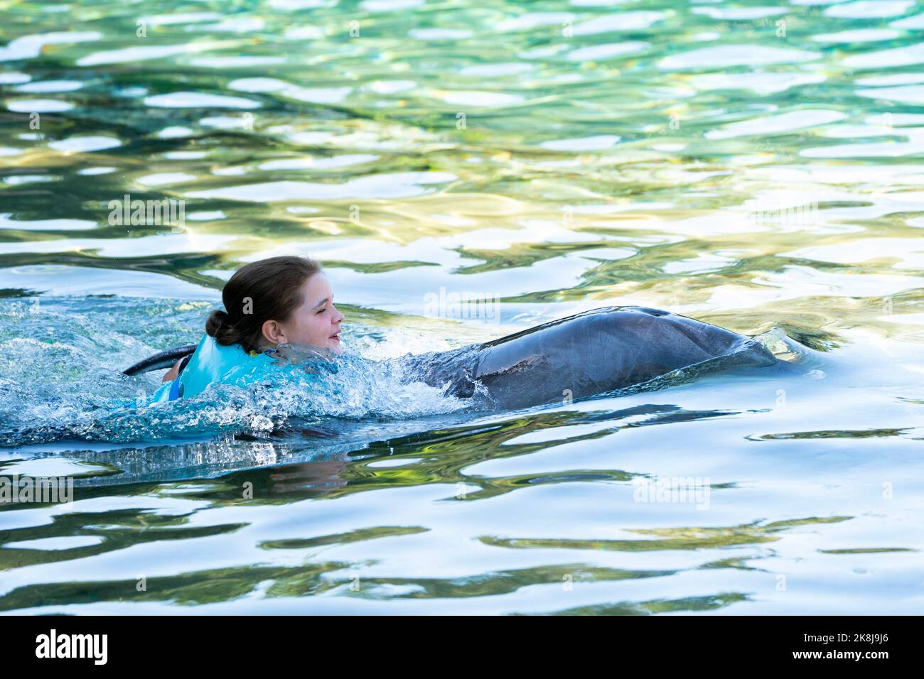Ava Douglas, 11, from Edinburgh swims with a dolphin during the ...