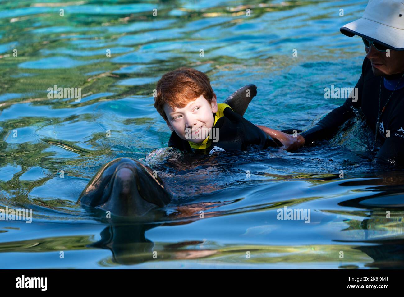 Eoin Devlin, 13, from Belfast swims with a dolphin during the ...