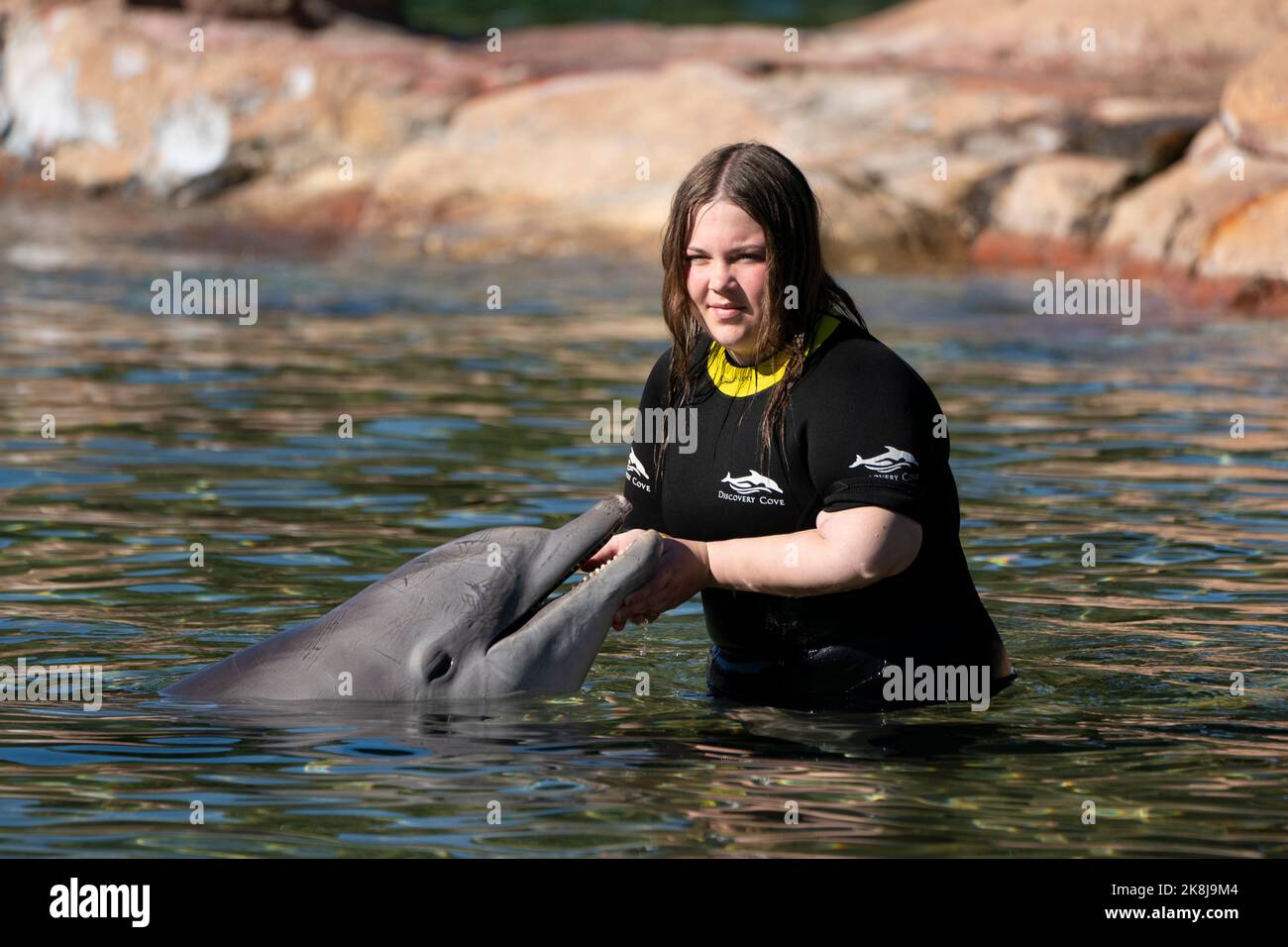 Skye Walker, 15, from Rotheram swims with a dolphin during the ...