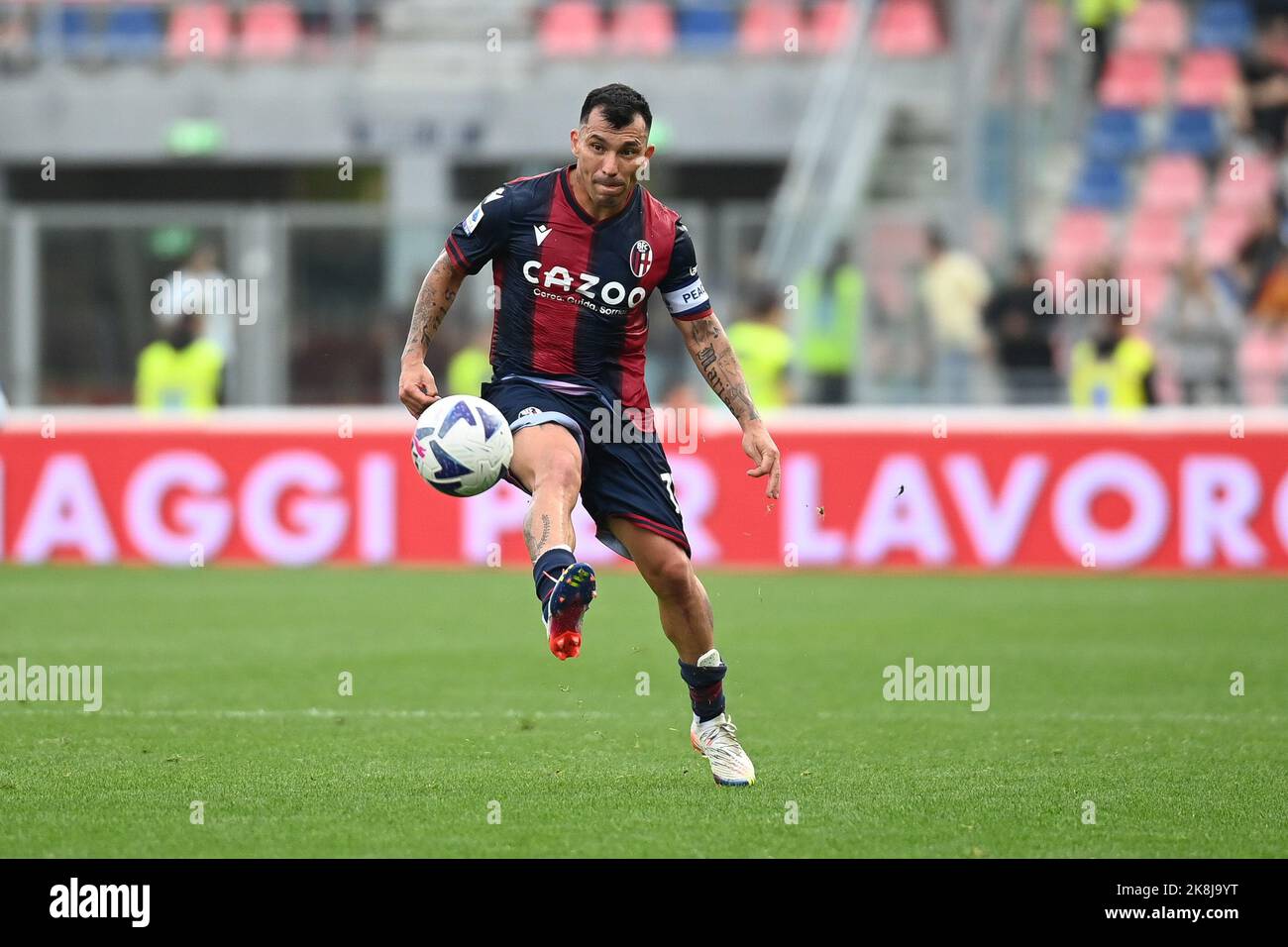 October 23, 2022, Bologna, Italy: Bologna, Italy, Renato Dall'Ara ...