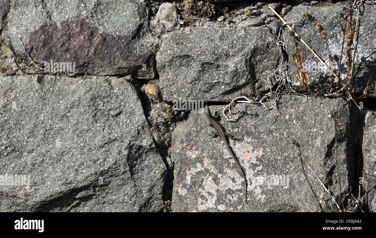 Stone wall with decorative stones and facings Stock Photo - Alamy