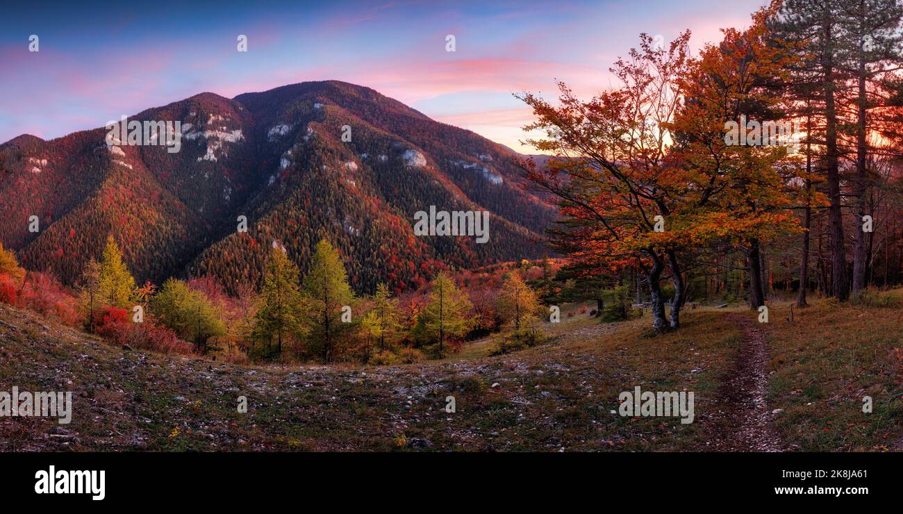 Beautiful sunset over autumn forest with big mountain panorama ...