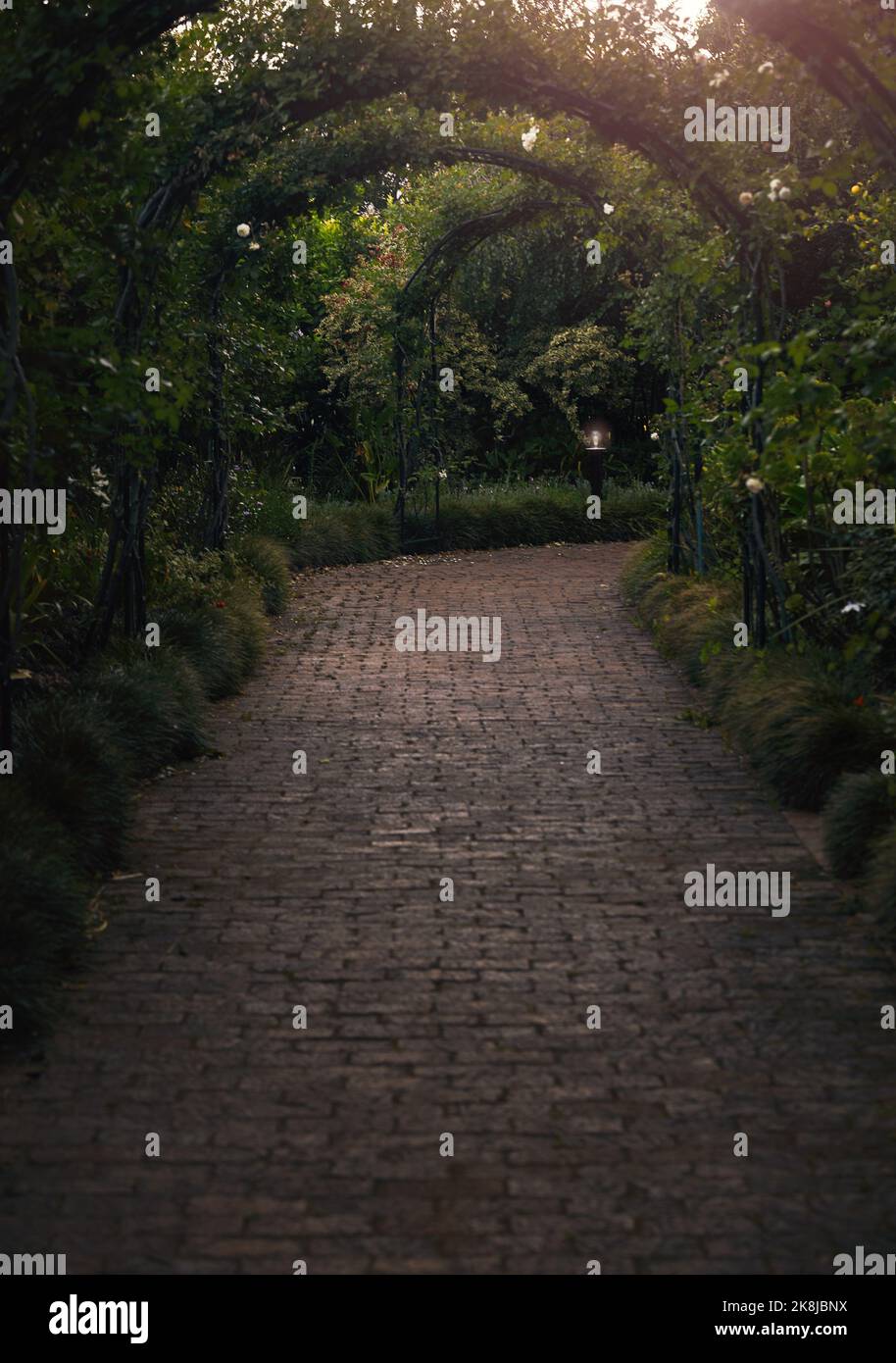 See where the path takes you. Still life shot of a archway in a garden ...