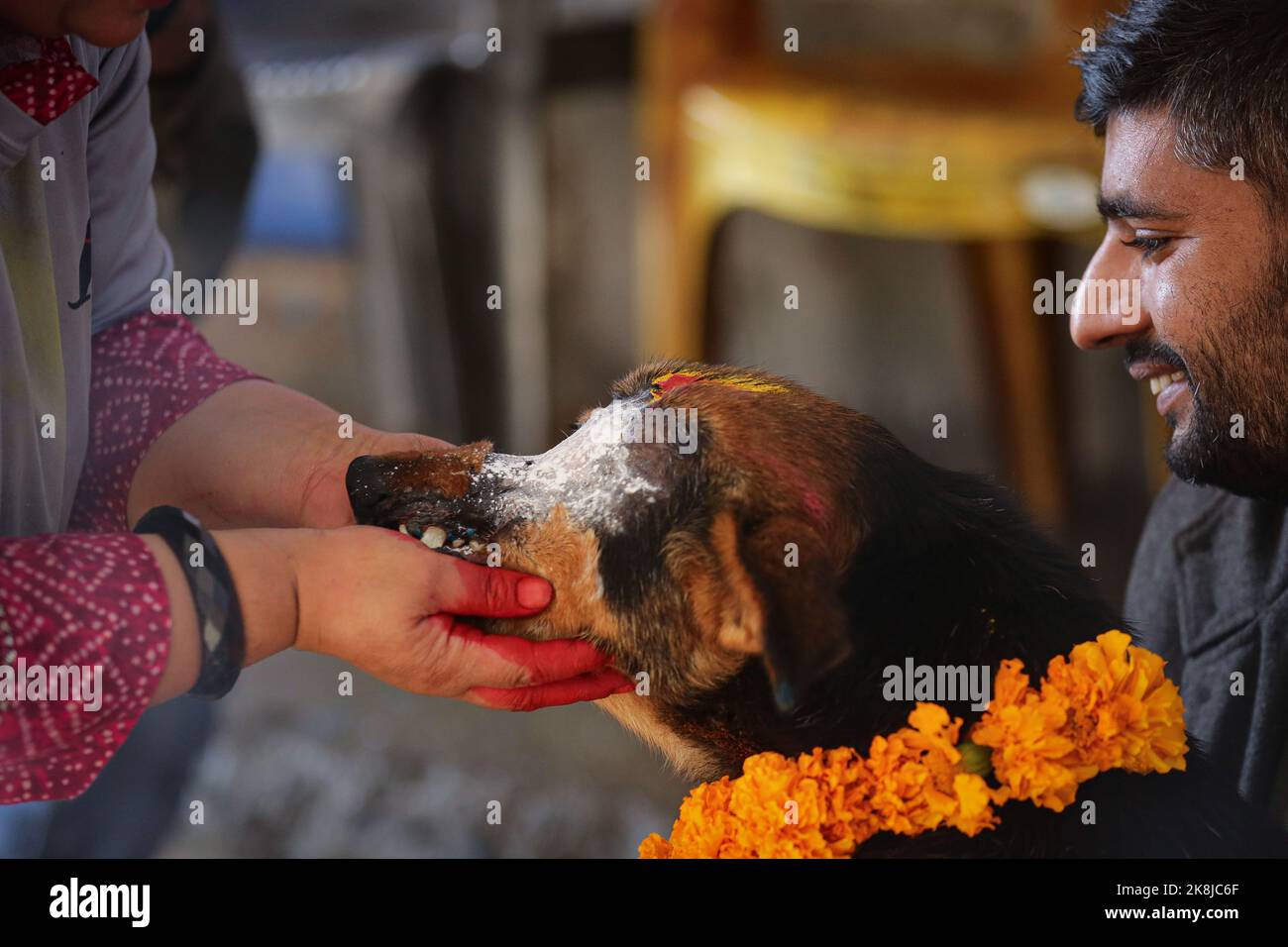 Nepal. 24th Oct, 2022. Peoples worships dogs to mark Kukur Tihar ...