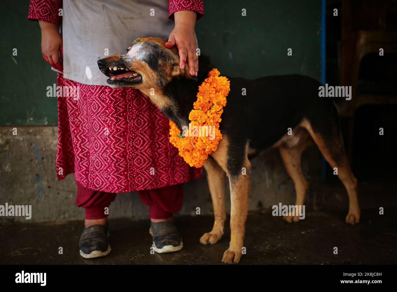 Nepal. 24th Oct, 2022. Peoples worships dogs to mark Kukur Tihar ...