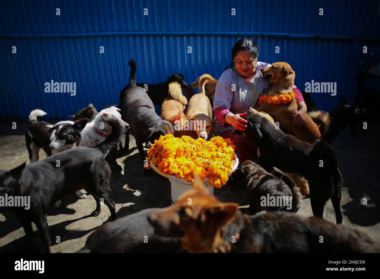 Nepal. 24th Oct, 2022. Peoples worships dogs to mark Kukur Tihar ...