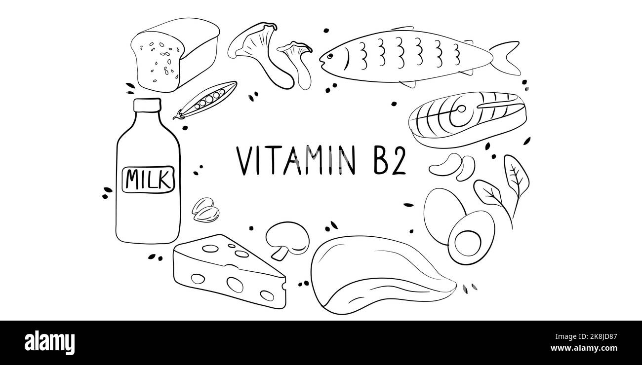 Vitamin B2 riboflavin. Groups of healthy products containing vitamins ...