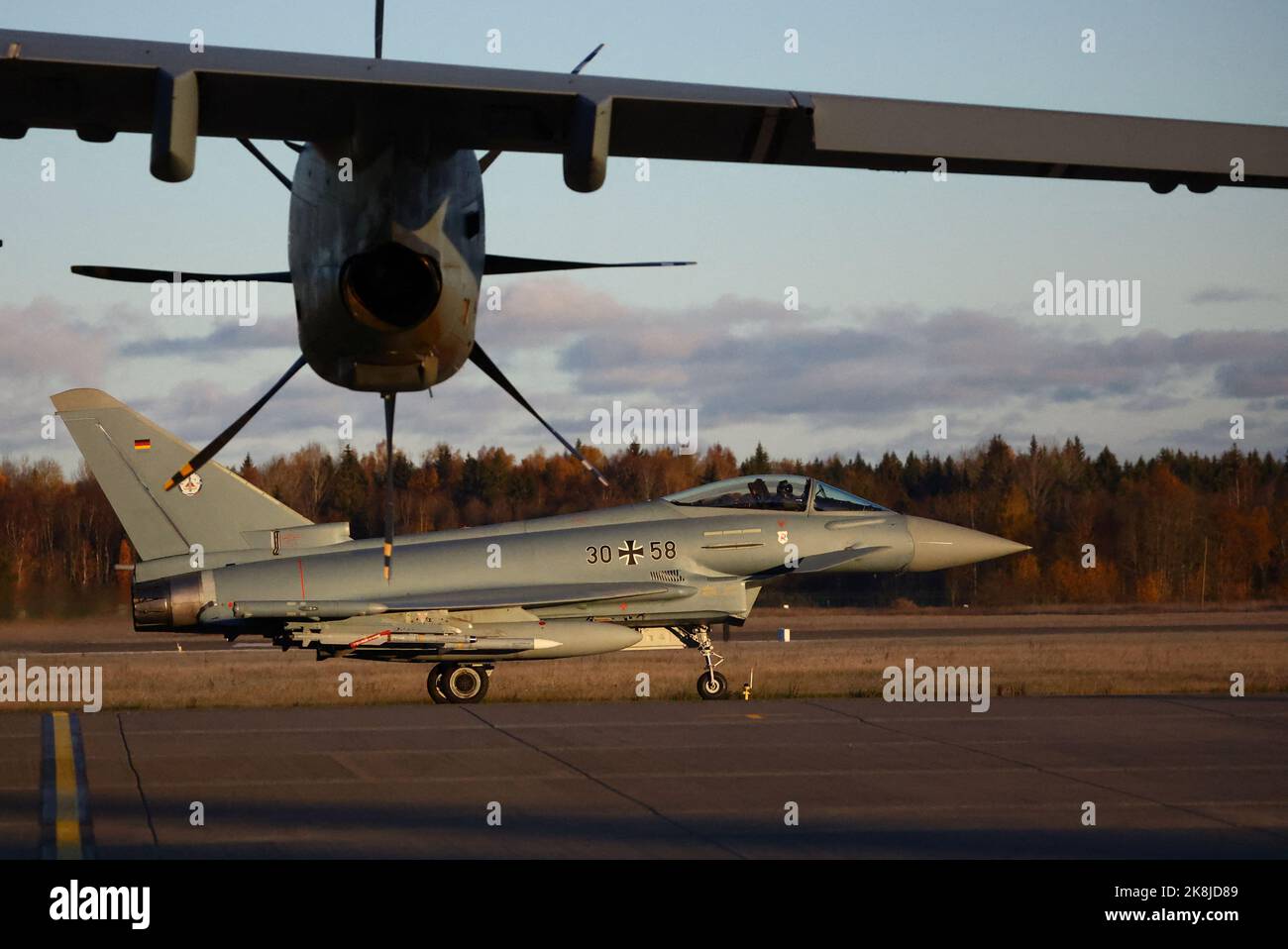 Baltic tiger 2022 hi-res stock photography and images - Alamy