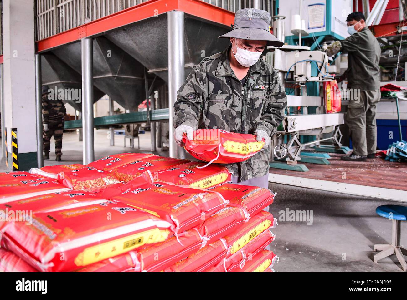 Farmers are processing rice in a processing factory in Shenyang City ...