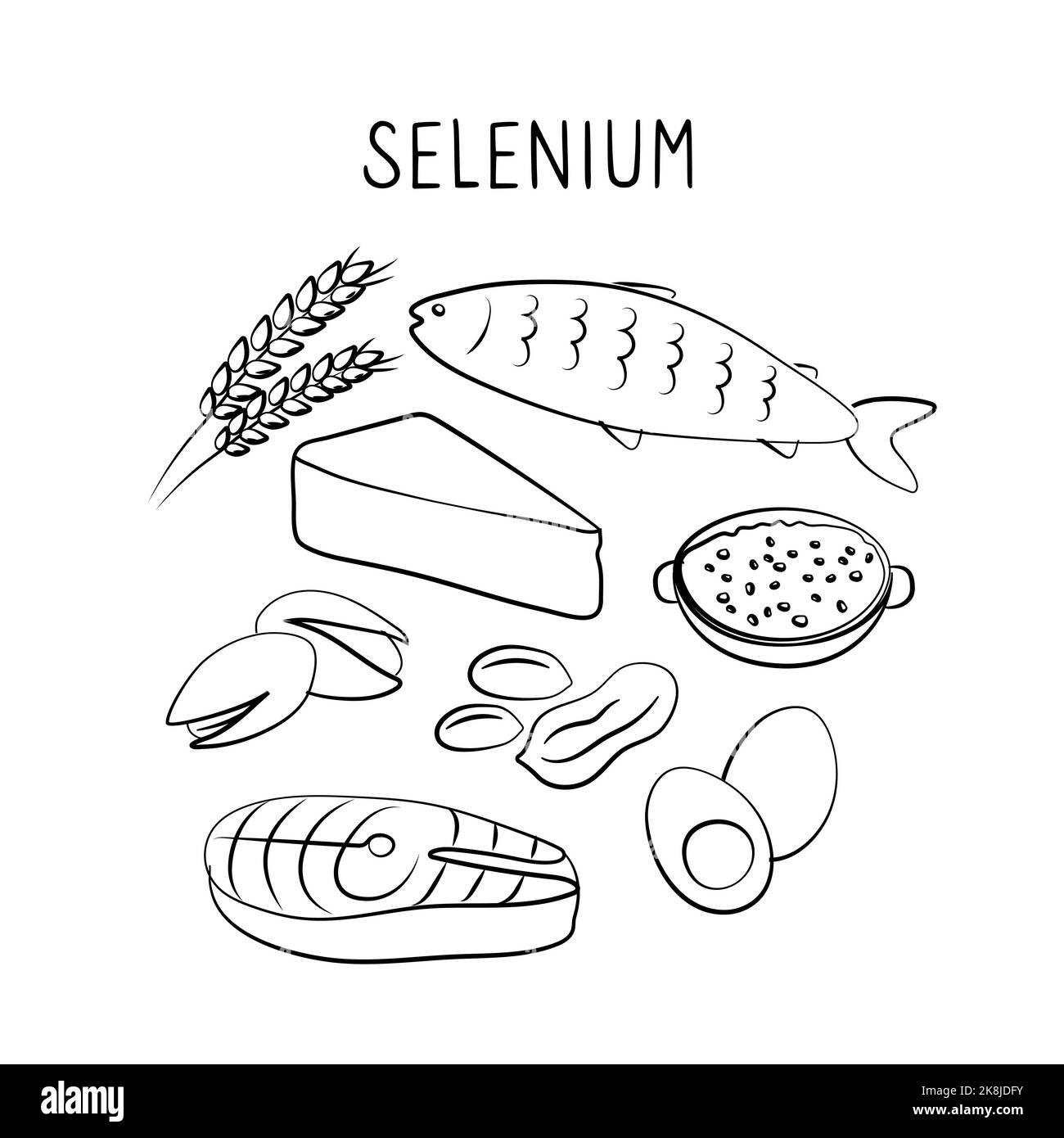 Selenium-containing food. Groups of healthy products containing ...