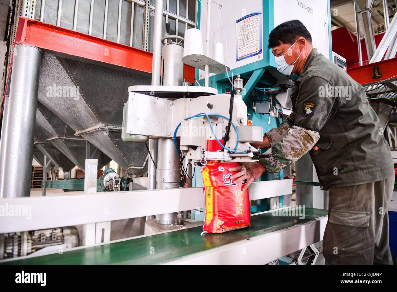 Farmers are processing rice in a processing factory in Shenyang City ...