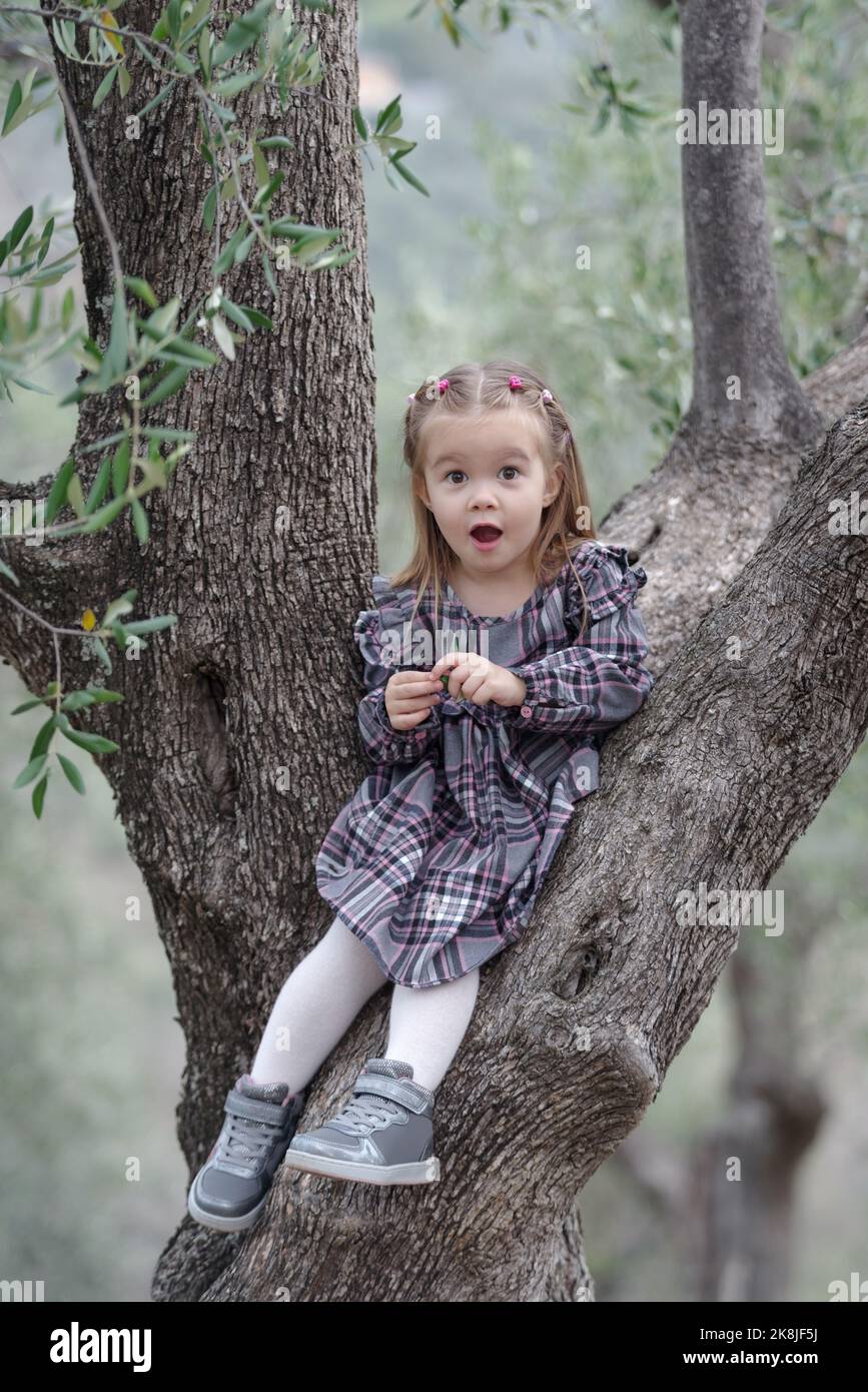 A child girl sitting on a olive tree Stock Photo - Alamy