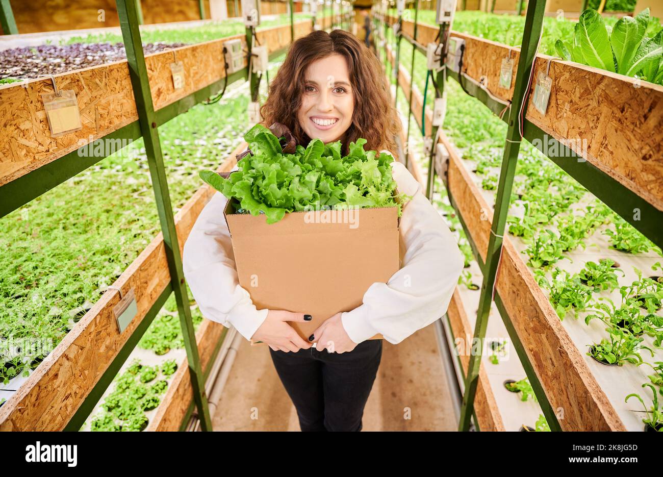 Happy female customer holding cardboard package box with green leafy ...