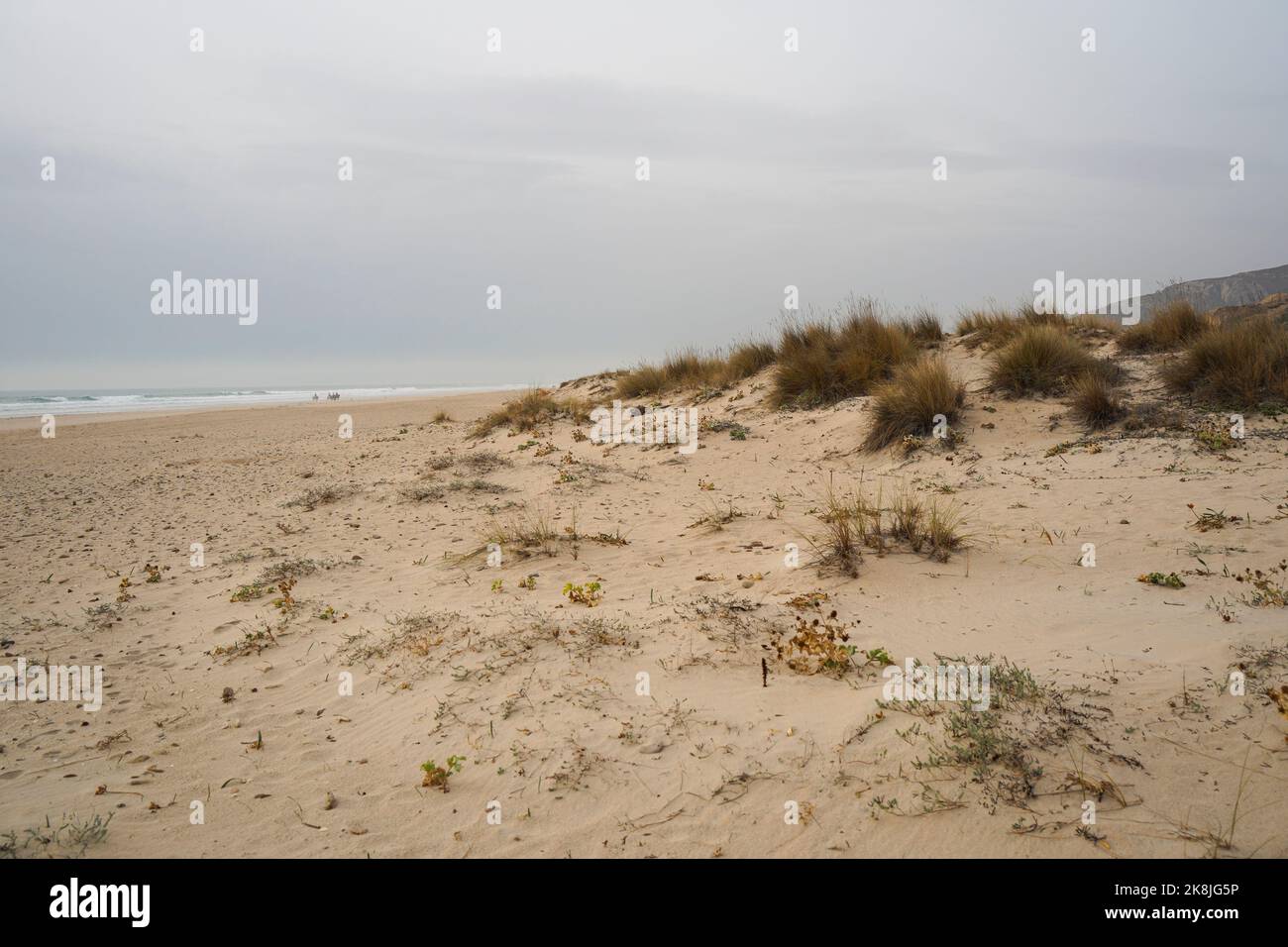 Deserted Beach With Dunes And Sparse Grass Under Cloudy Sky At Quiet ...