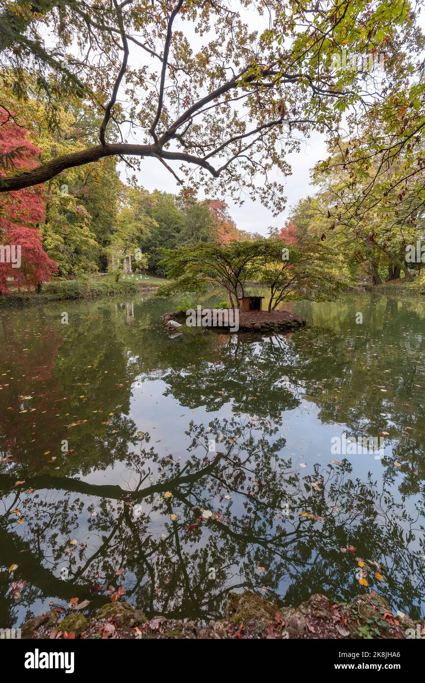 Parco di Monza in autumn, Park street view during autumn season ...