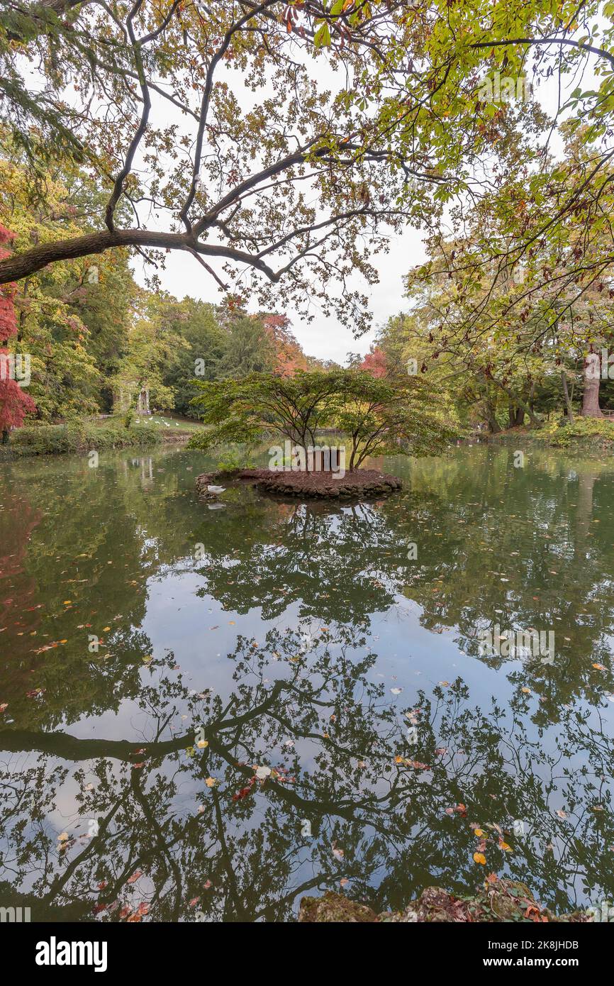 Parco di Monza in autumn, Park street view during autumn season ...