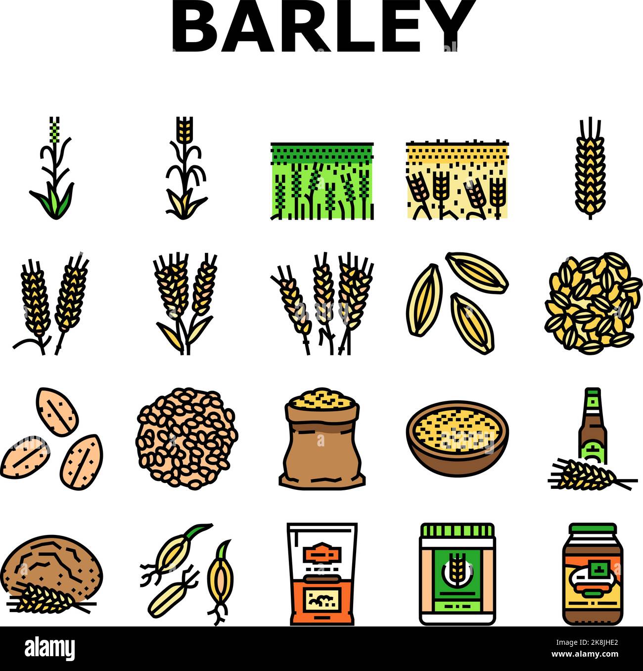 barley cereal grain harvest icons set vector Stock Vector Image & Art ...