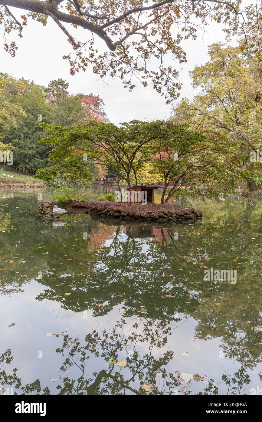 Parco di Monza in autumn, Park street view during autumn season ...