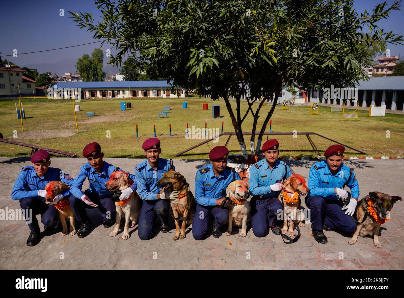 Yama dogs hi-res stock photography and images - Alamy