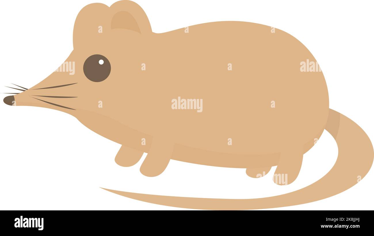 Shrew creature icon cartoon vector. Domestic mammal. Asia wild Stock ...