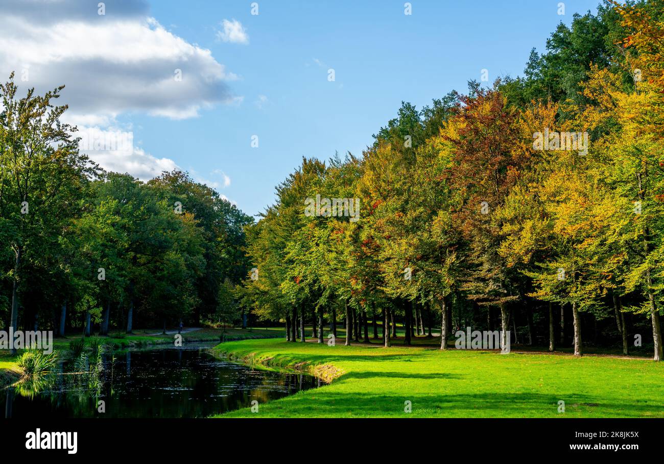 Large pond in a nature reserve in the Netherlands Stock Photo - Alamy