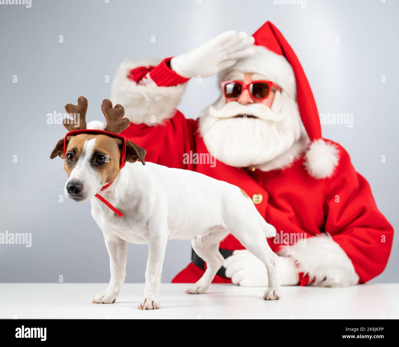 Santa claus and santa's helper in sunglasses on a white background ...