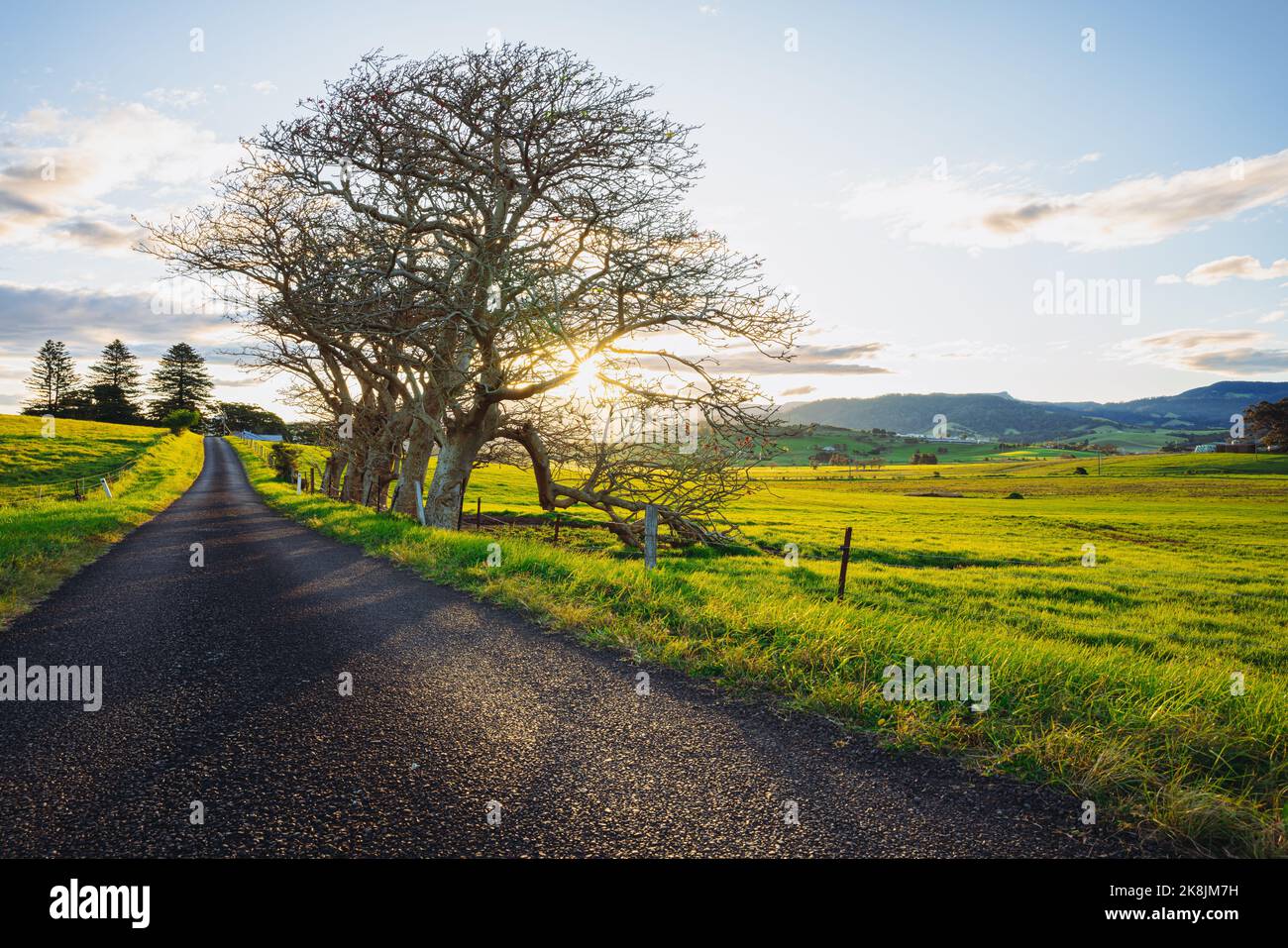 A rural asphalt road in a field Stock Photo - Alamy