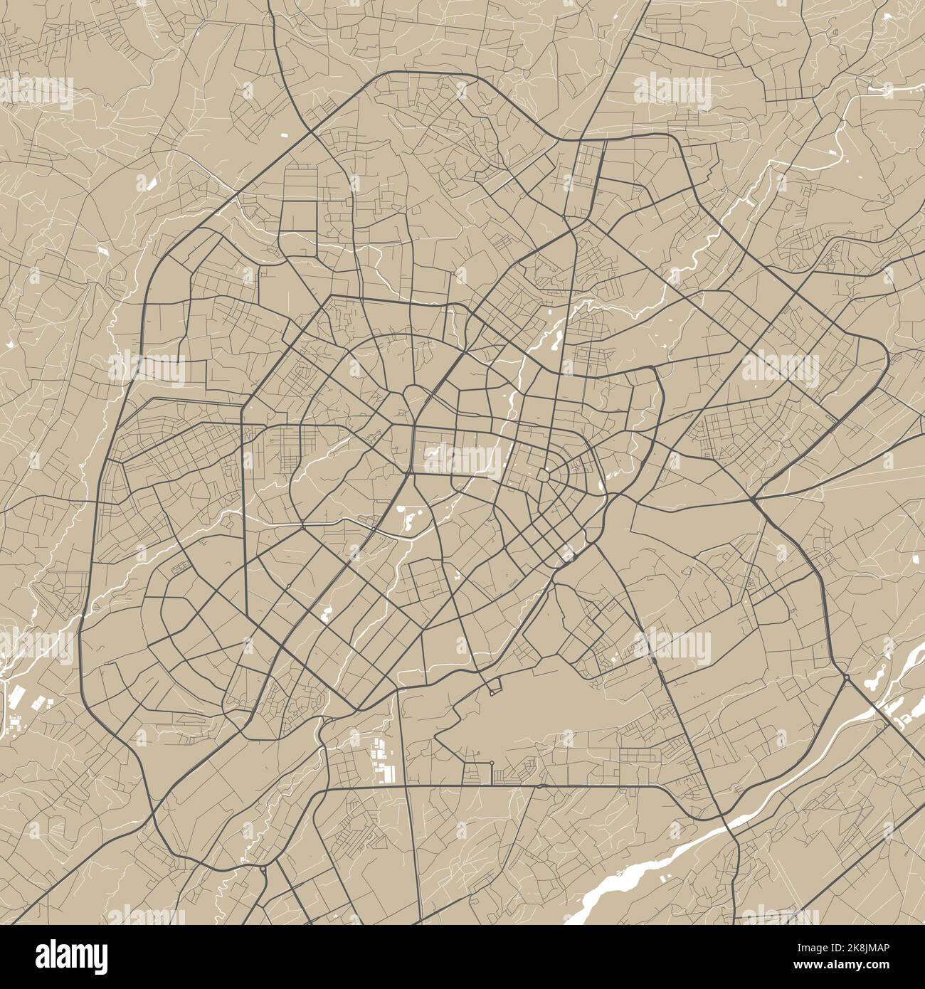 Vector map of Tashkent, Uzbekistan. Urban city road map poster ...