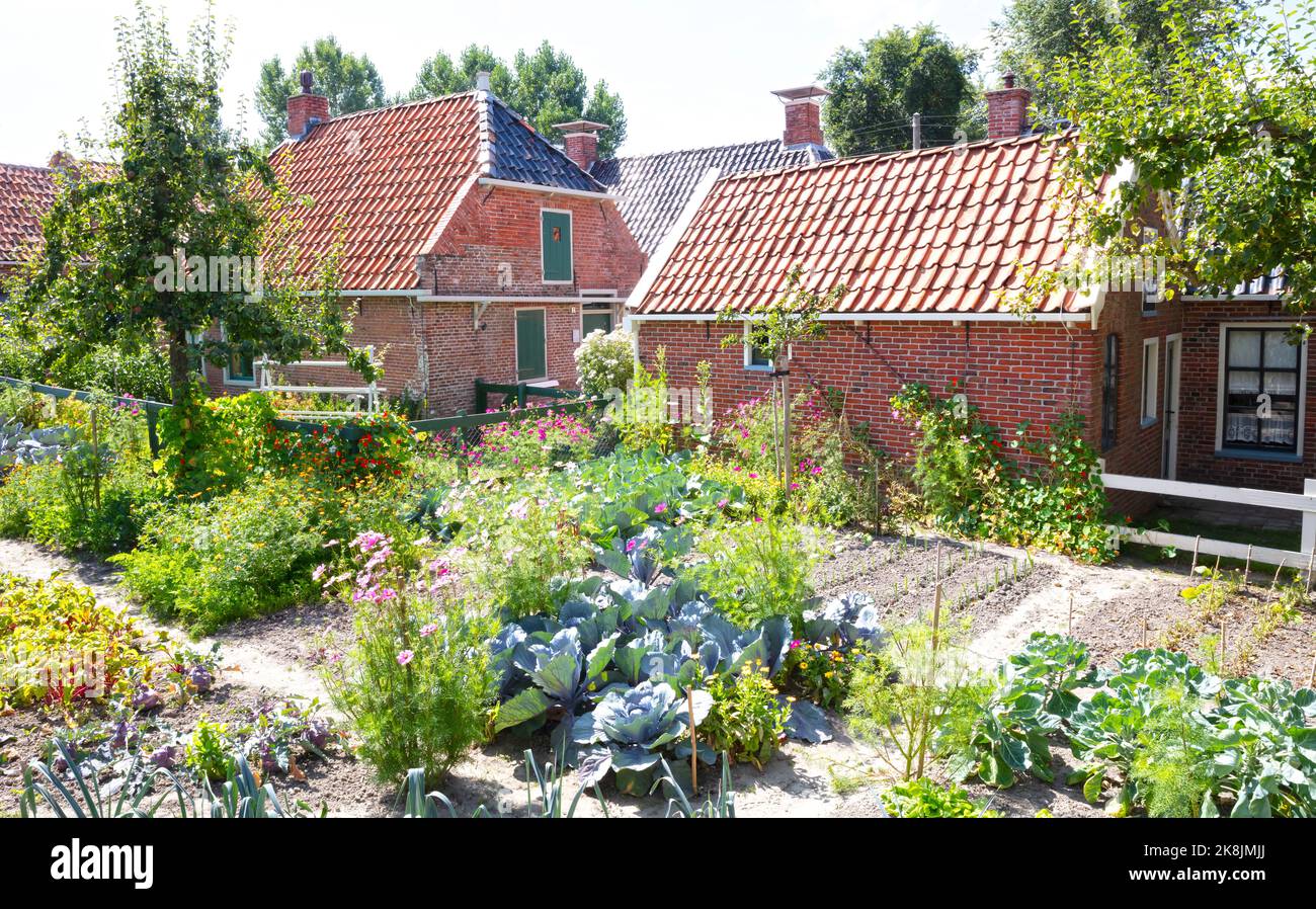 Very old farm with red roof in the Netherlands Stock Photo - Alamy