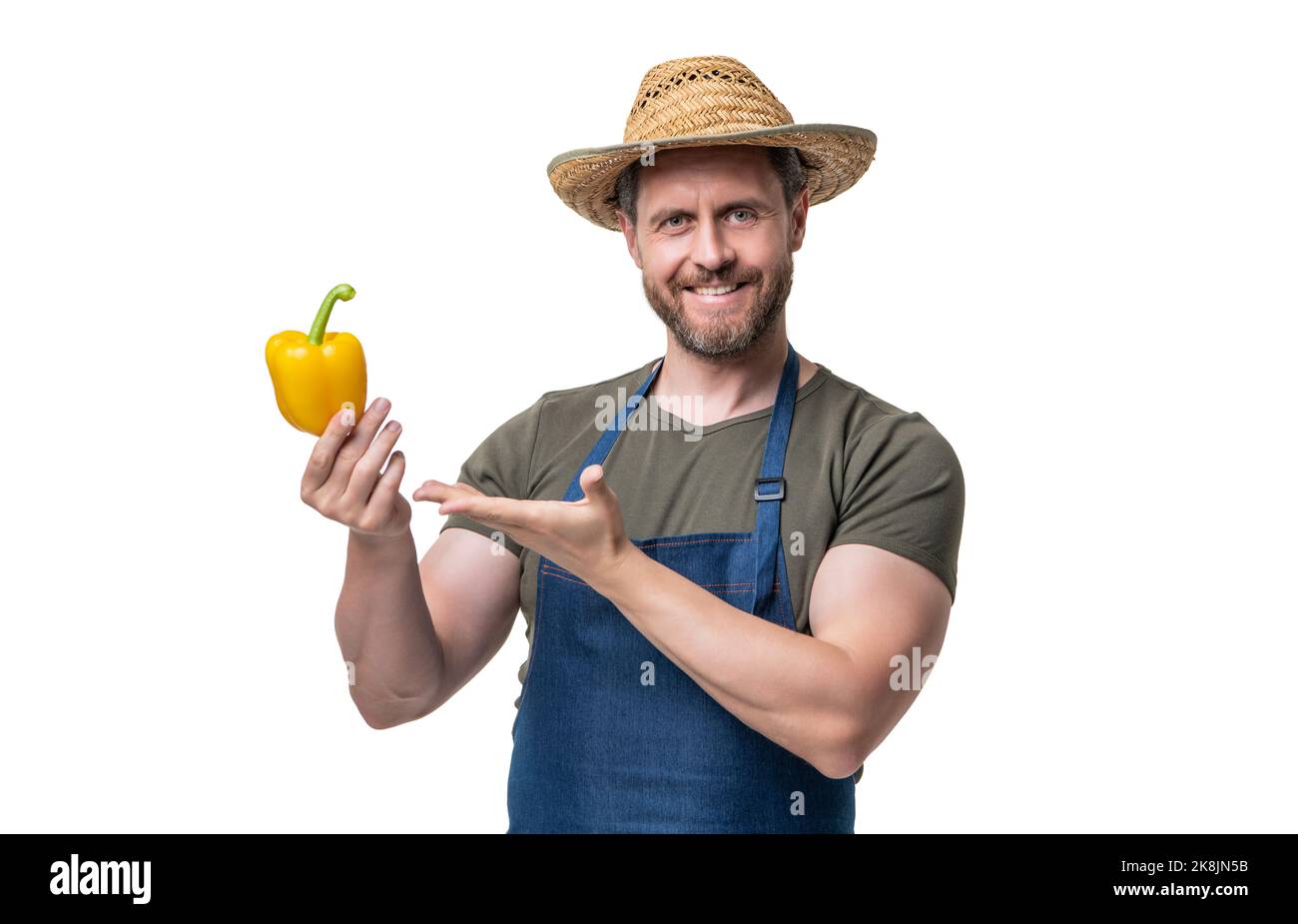 man in apron and hat with bell pepper vegetable isolated on white Stock ...