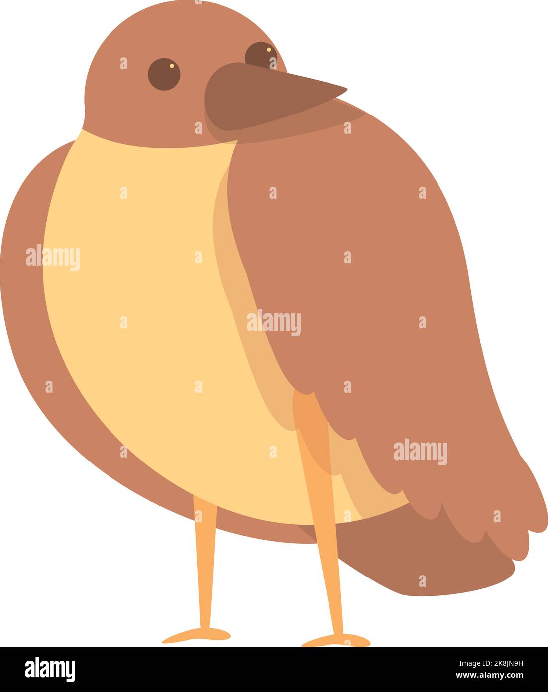 Sparrow front view bird Cut Out Stock Images & Pictures - Alamy