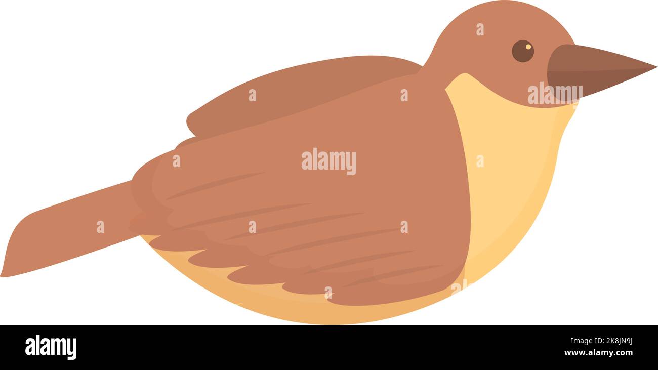 Sparrow front view bird Cut Out Stock Images & Pictures - Alamy