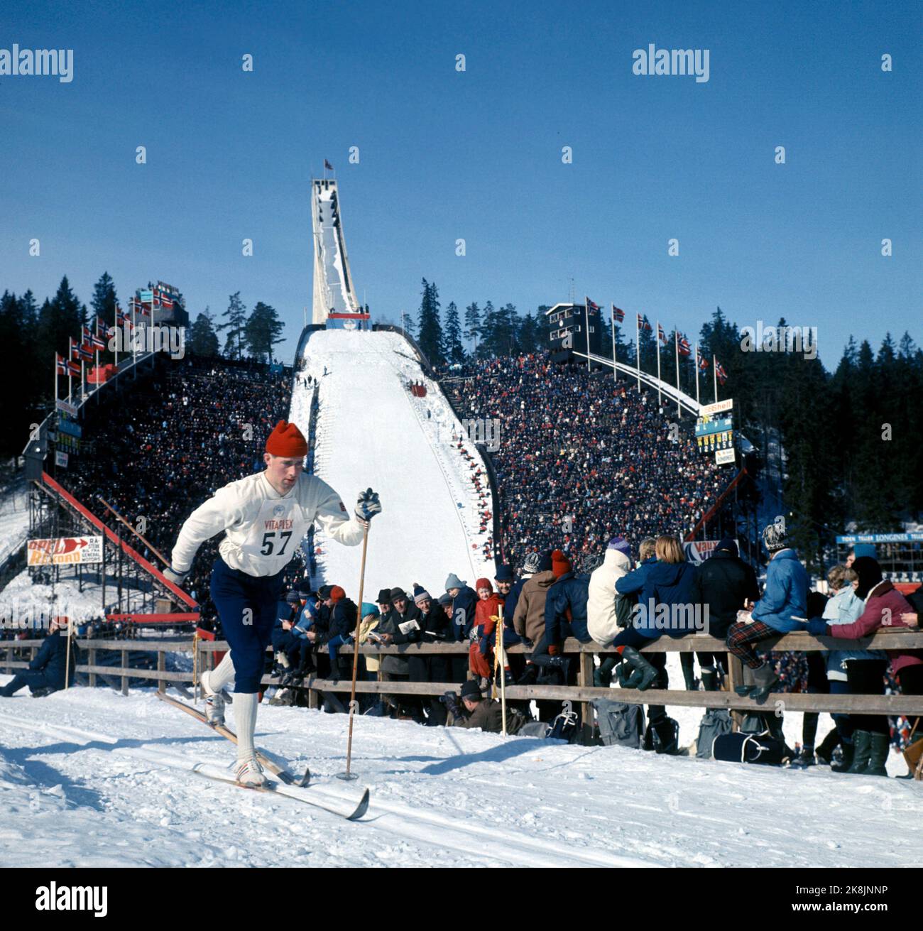 Myrmo hi-res stock photography and images - Alamy