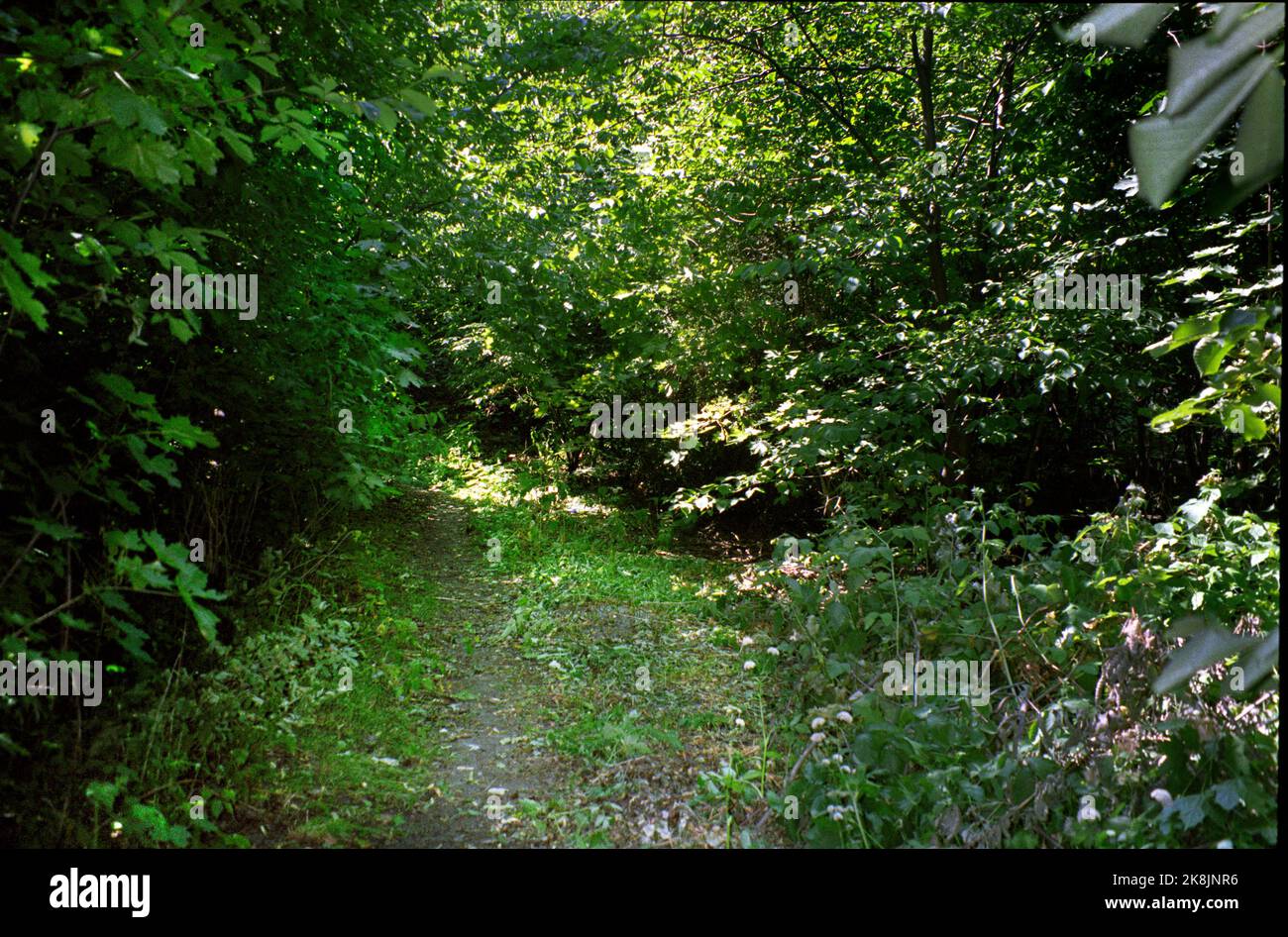 Oslo June 1988 Langgaardsløkken is an old loop garden at Briskeby in ...