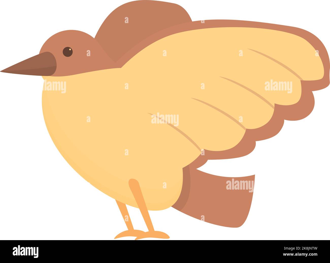 Female house sparrow passer Stock Vector Images - Alamy