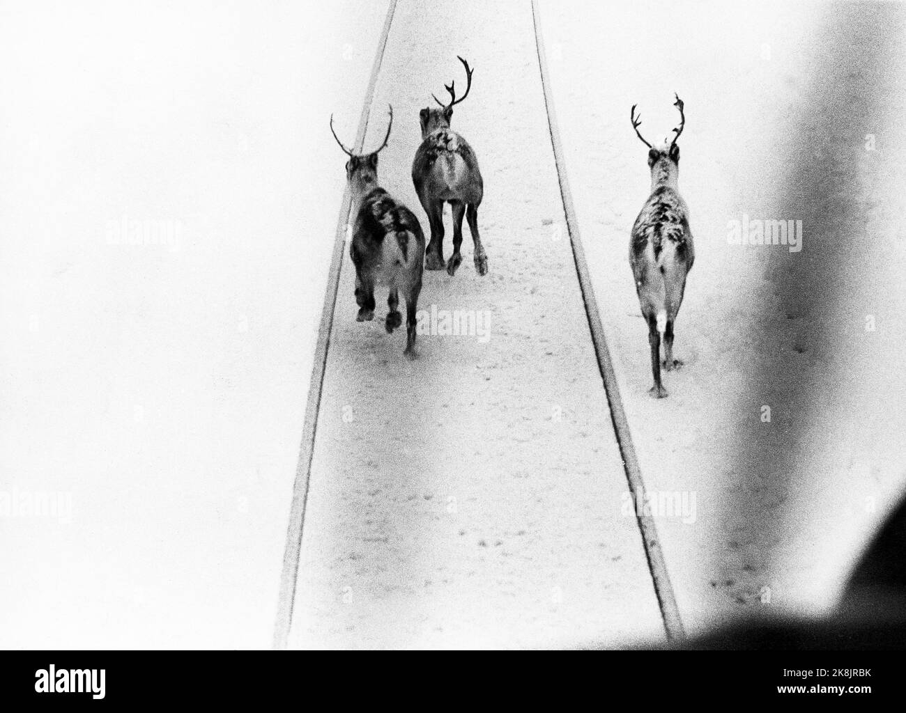 Nordlandsbanen, Mo station, April 8, 1961. The conductors on the ...