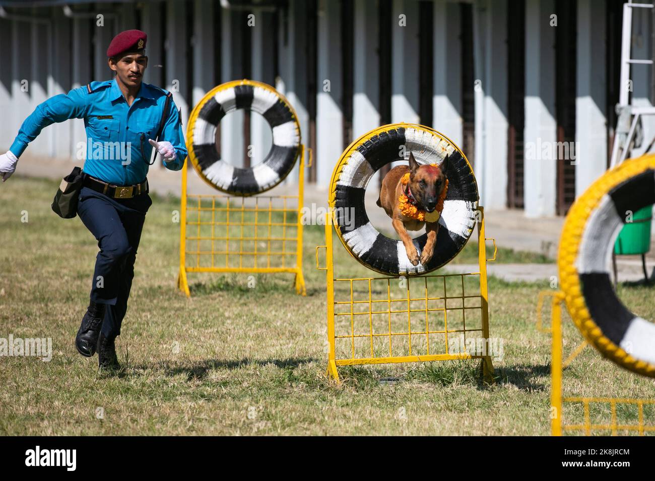 Kathmandu, Nepal. 24th Oct, 2022. A Nepalese police dog handler with ...