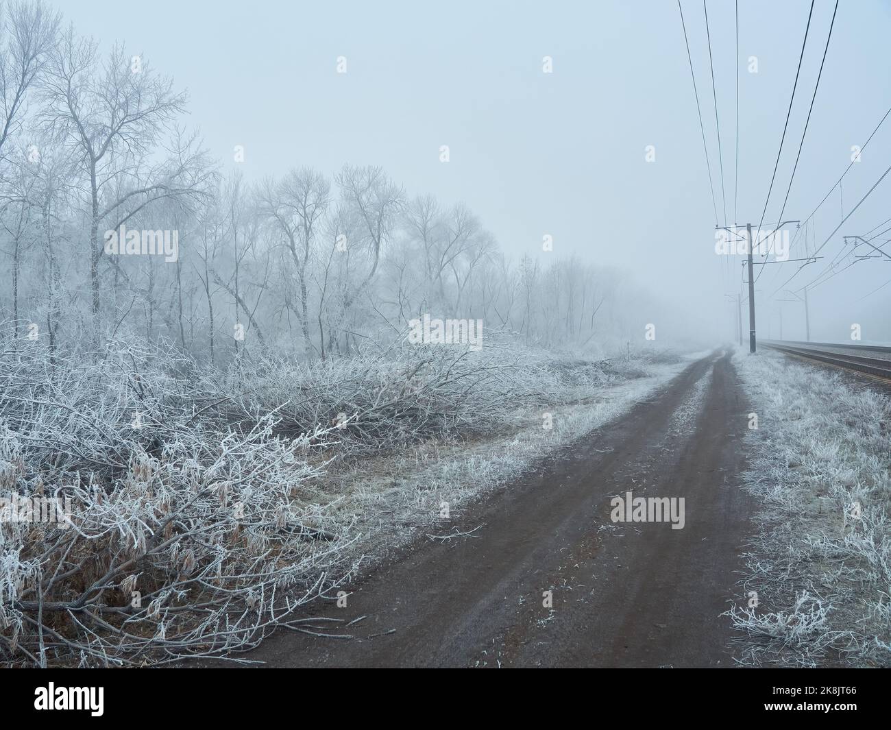 Train tracks in winter with frost covering around everywhere and power lines Stock Photo - Alamy